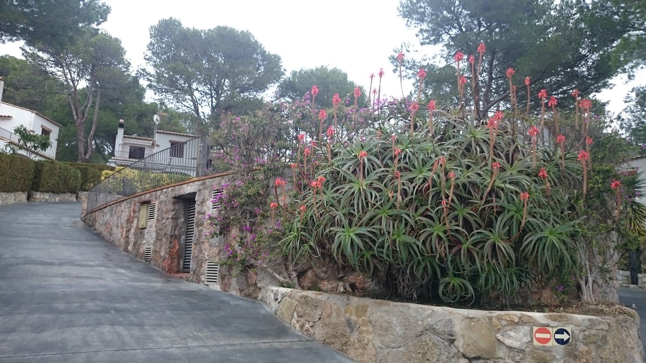 TORRE BONICA D (Copiar) | Bosch API